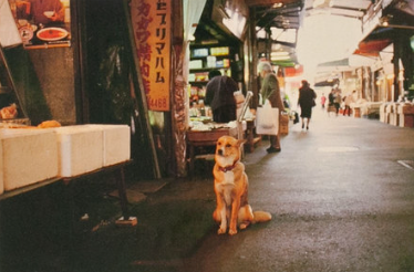 KOJI ONAKA COLLECTION – Galerie Écho