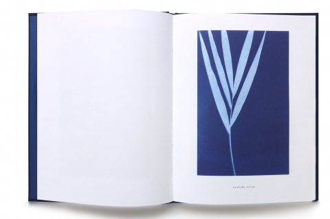 NIGEL SCOTT - CONVERSATIONS WITH BLUE – Galerie Écho