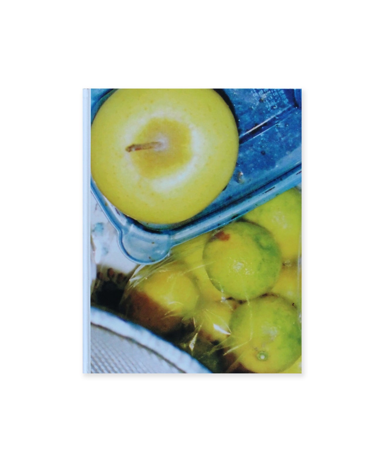 MOTOYUKI DAIFU - STILL LIFE – Galerie Écho