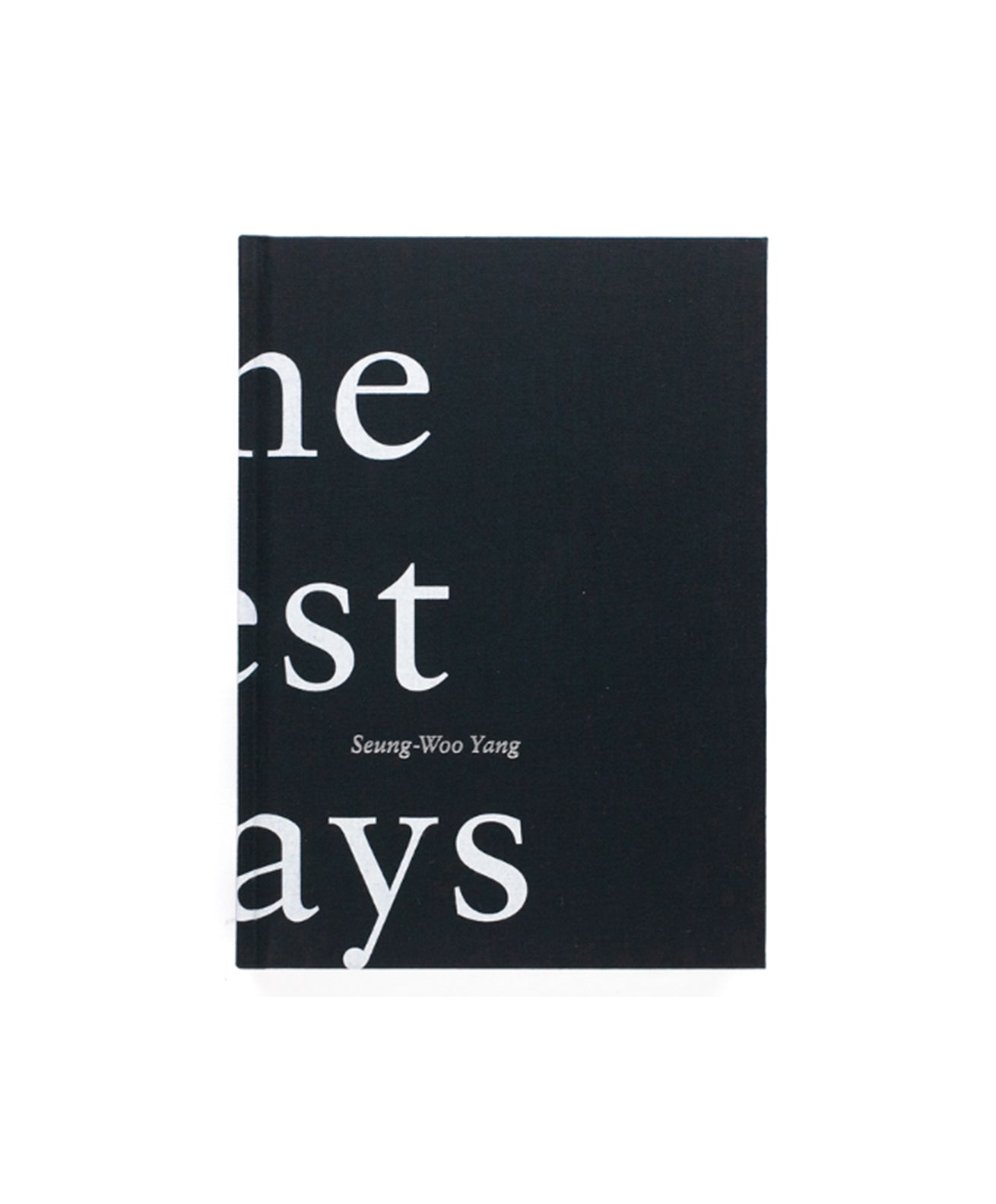 SEUNG-WOO YANG - The best days – Galerie Écho