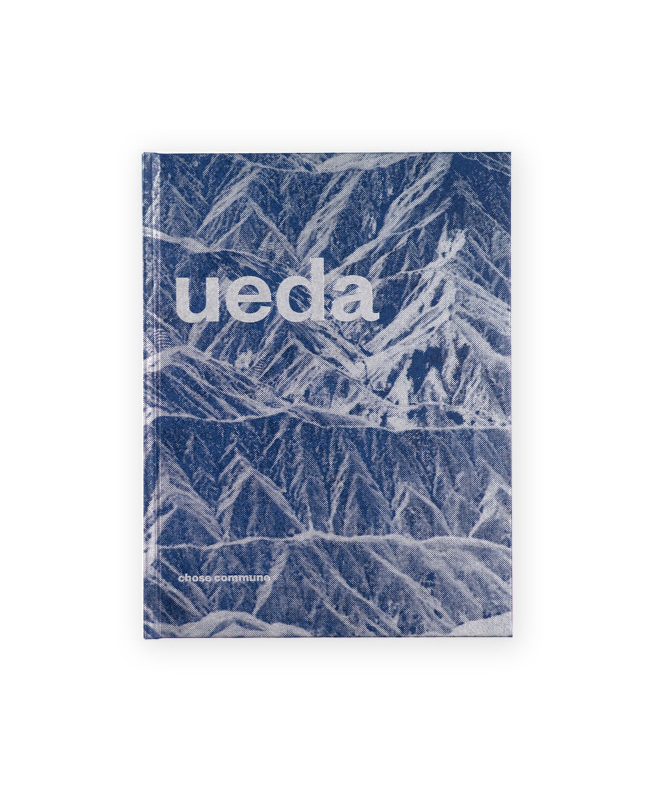 SHOJI UEDA - UEDA – Galerie Écho